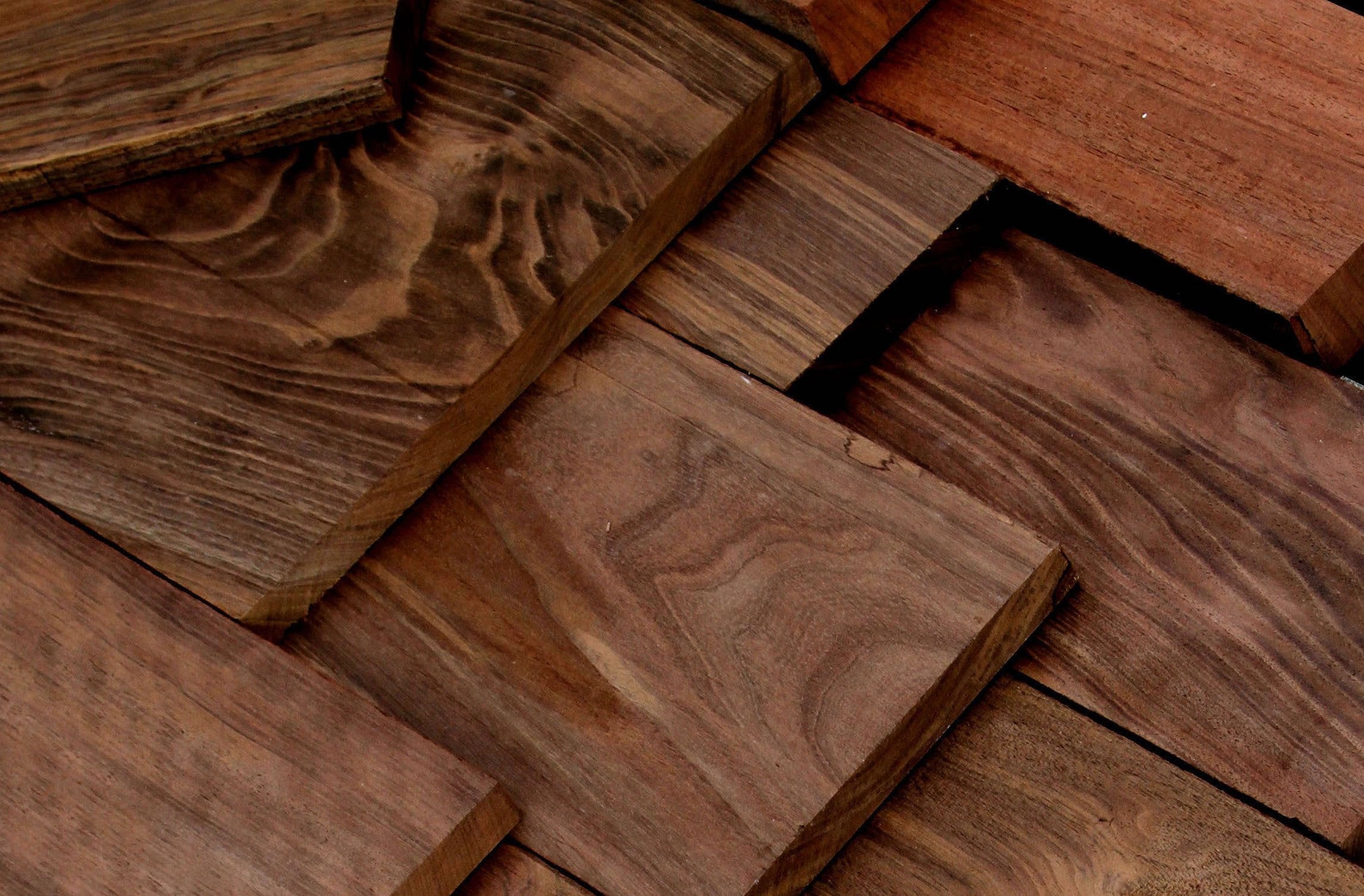 Collections: Walnut wood | Forest Homes