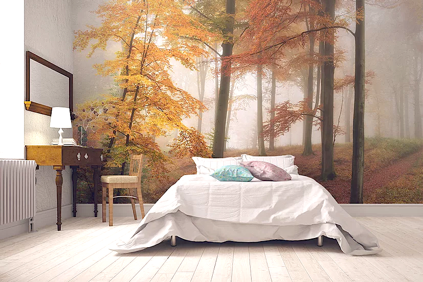 Autumn Fog Mural Wallpaper: Fall Season Wallpaper | Forest Homes