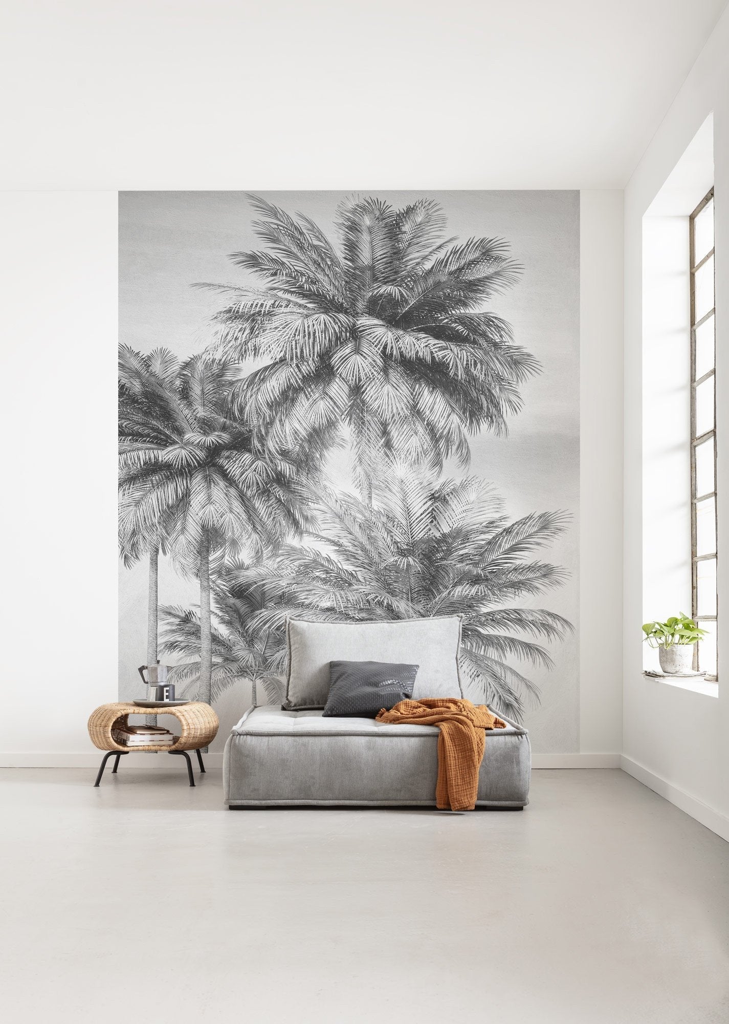 Coco Mural Wallpaper: Palm Wallpaper | Forest Homes