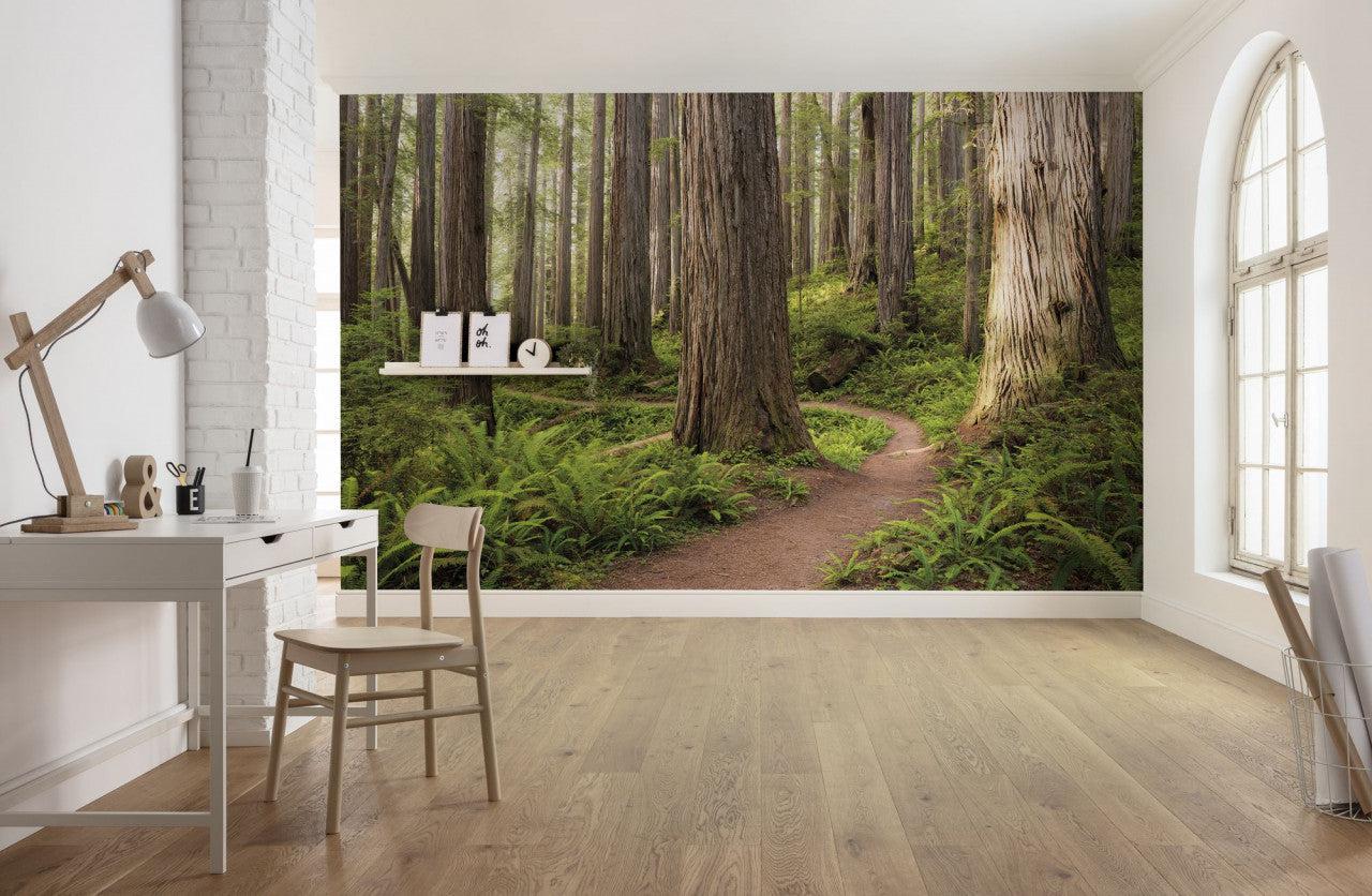 Forest Trails Mural: Landscape Wallpaper | Forest Homes