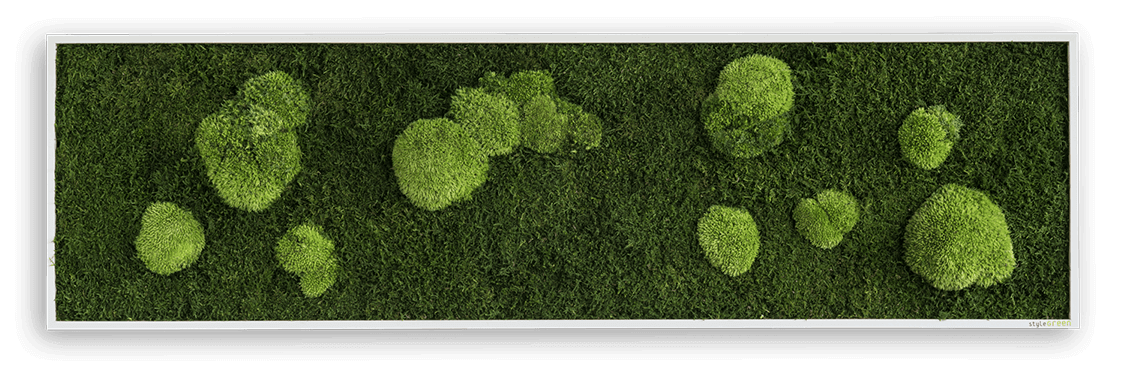 Green Forest: Buy Moss Wall Art Online | Forest Homes
