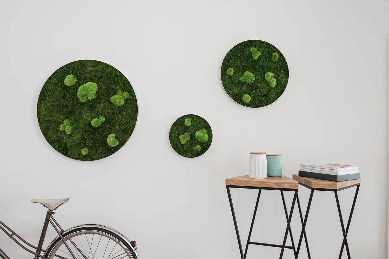 Circle Moss Wall Art Decor: Moss Wall Designs | Forest Homes