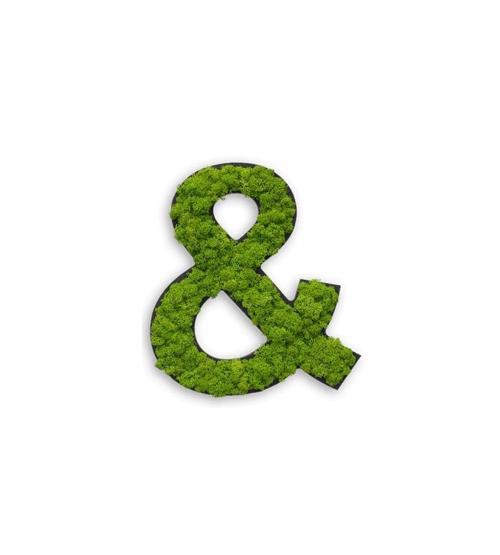 Moss & Symbols: Creative Wall Art | Forest Homes