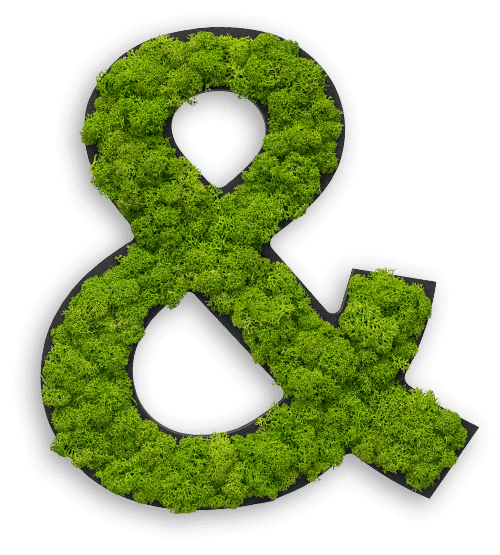 Moss & Symbols: Creative Wall Art | Forest Homes